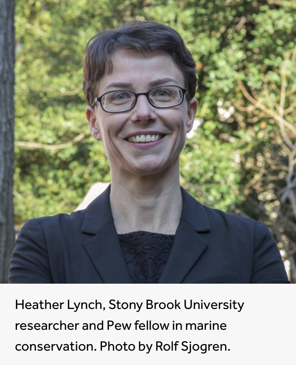 IACS Endowed Chair Heather Lynch named Pew Fellow | Institute for ...