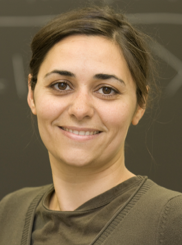 IACS's Fernandez-Serra featured in Quanta Magazine article | Institute for Advanced ...